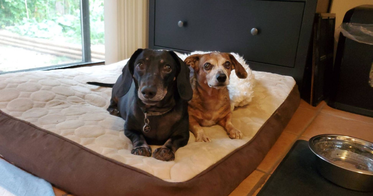 Admin | Precision Wings.